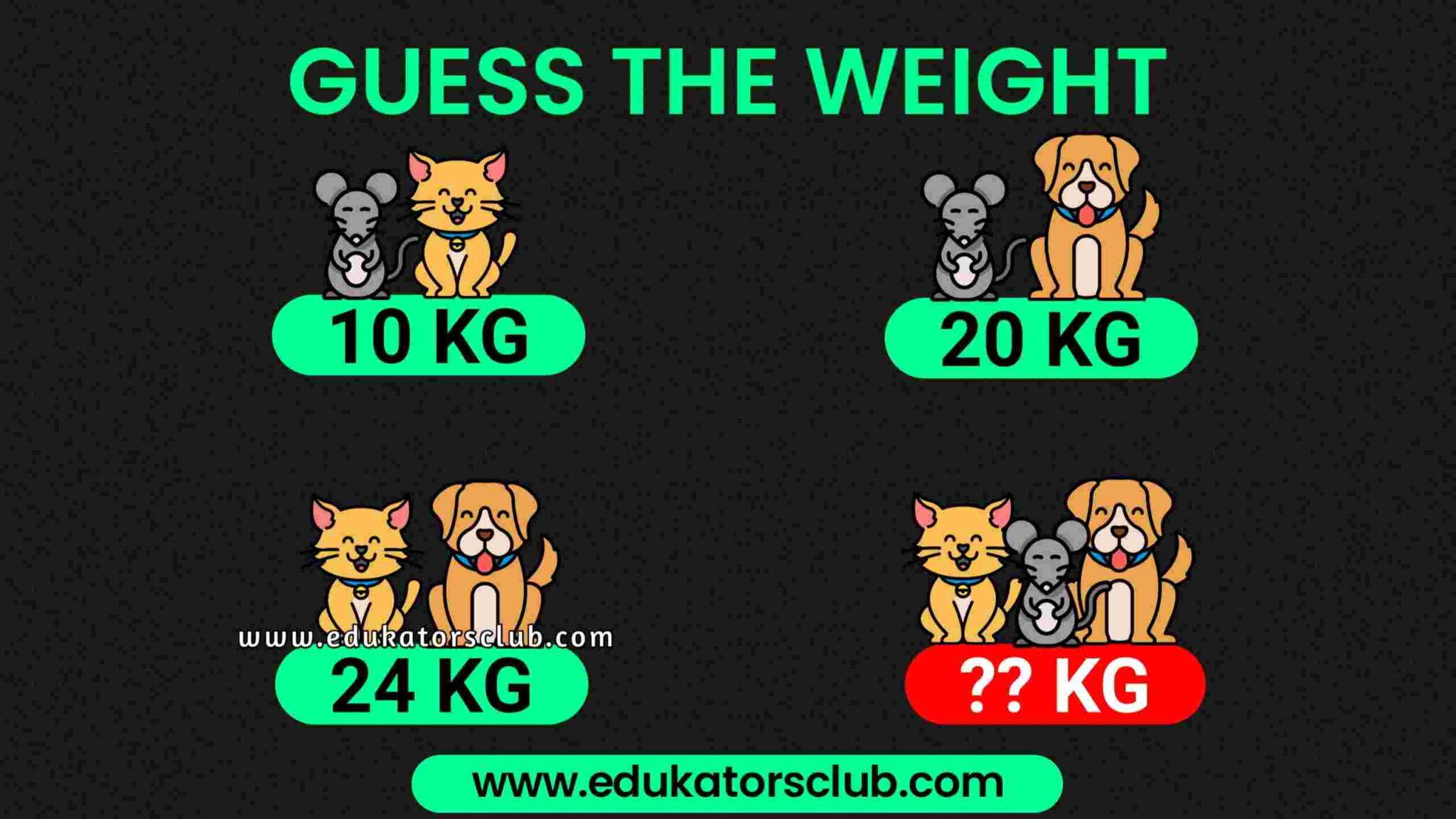 Guess The Weight | Cat Rat Dog Puzzle