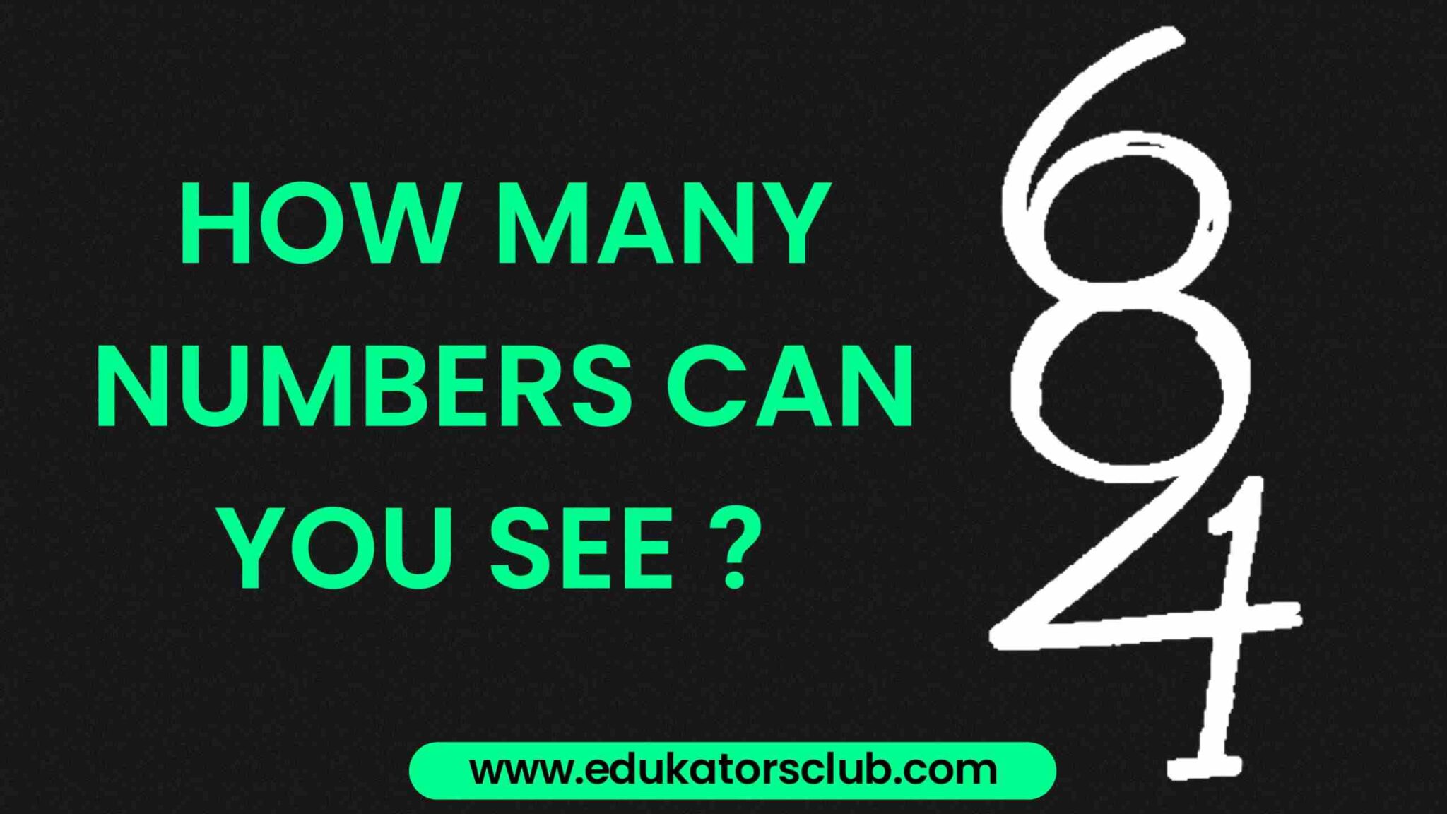 How Many Hidden Numbers Can You See Picture Puzzle